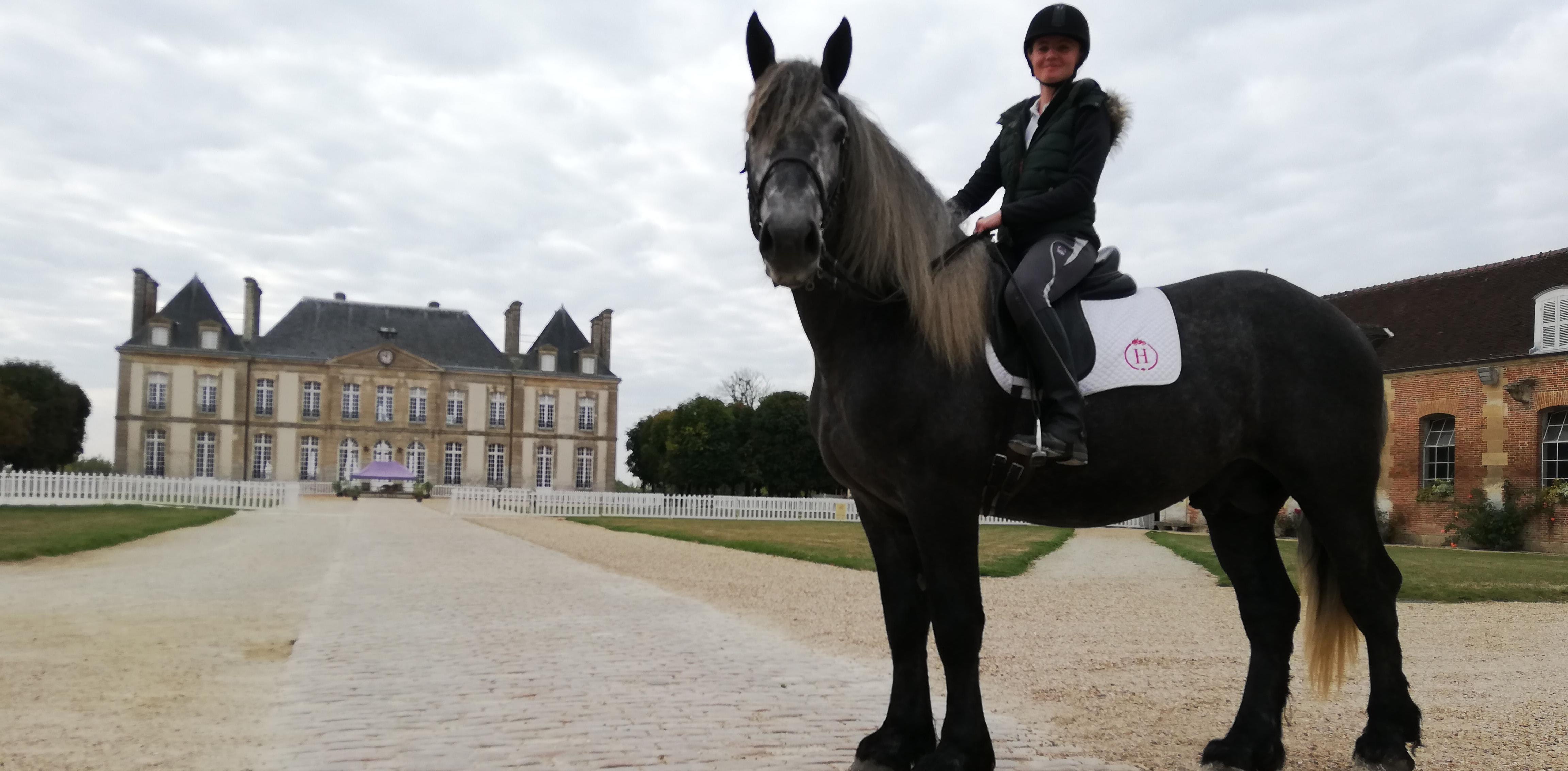 A Percheron ride at the Haras du Pin